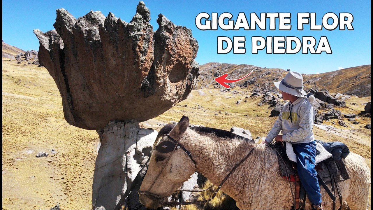 DESAFÍO en las alturas | SOLDADOS de piedra | FLOR de piedra en ...