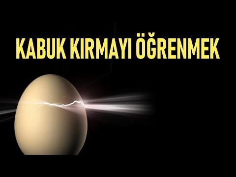 KABUĞUNU KIRMAK - KİŞİSEL GELİŞİM VİDEOLARI