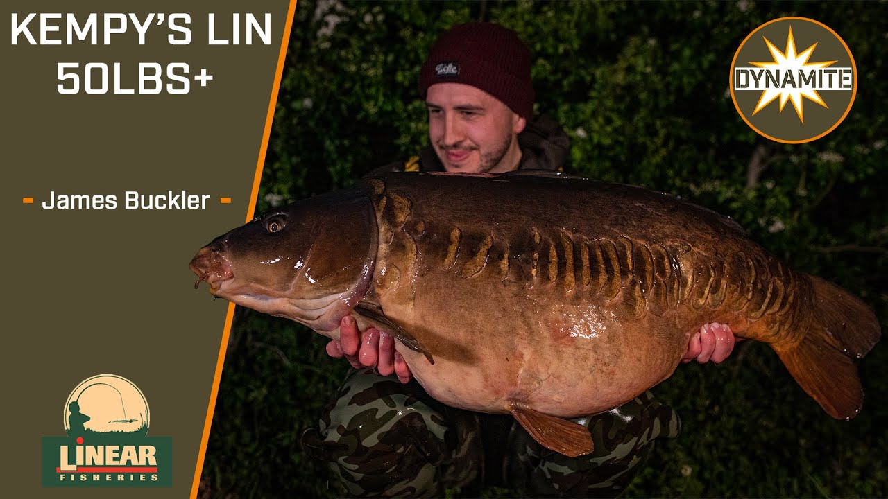 ***CARP FISHING*** The Story of Kempy's Lin at 50lbs + - YouTube