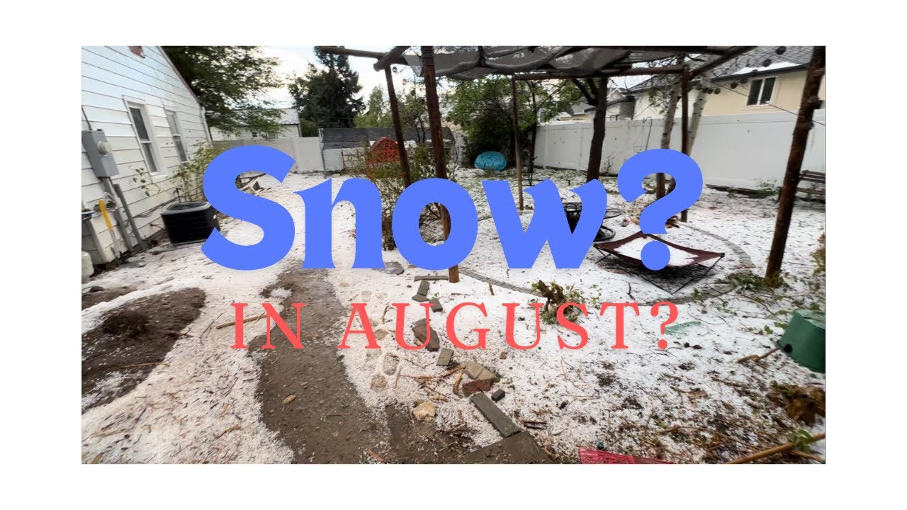 Why does it look like snow in August? - YouTube