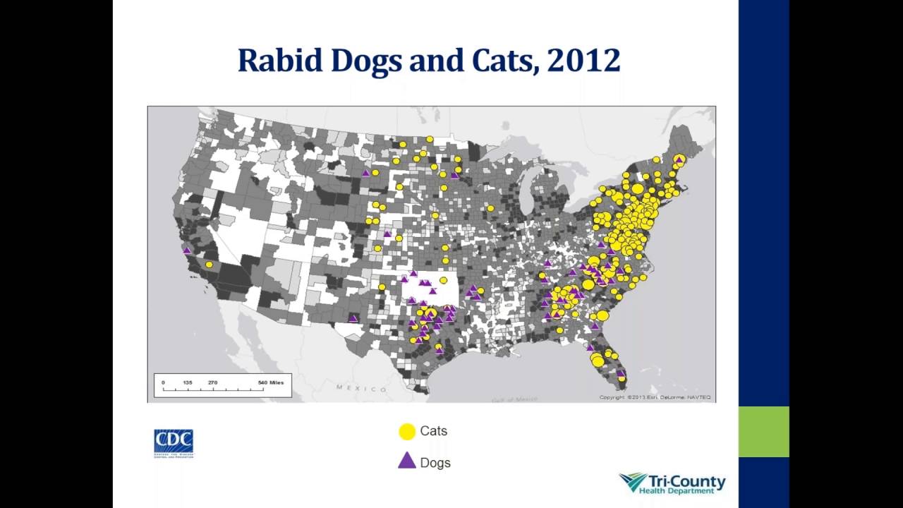 Rabies Update - Epidemiology of Skunk Rabies in Colorado - July 2016 ...