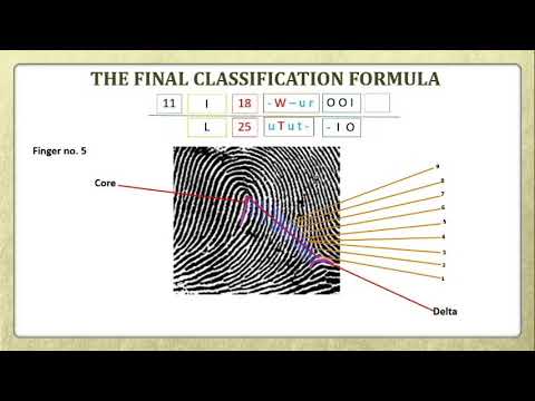 Fingerprint Classification Formula Part 6 (Key and Final Classification ...
