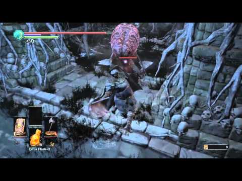 Fume Ultra Greatsword & Black Iron Greatshield. DARK SOULS 3 - YouTube