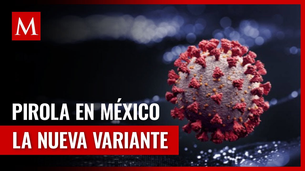 Pirola del covid-19: ¿Cómo afecta y qué tan preocupante es esta nueva ...