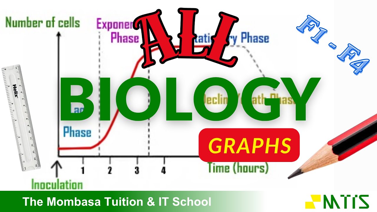 ALL BIOLOGY GRAPHS YOU MUST KNOW FOR KCSE (FORM 1–4) PAPER 2 - YouTube