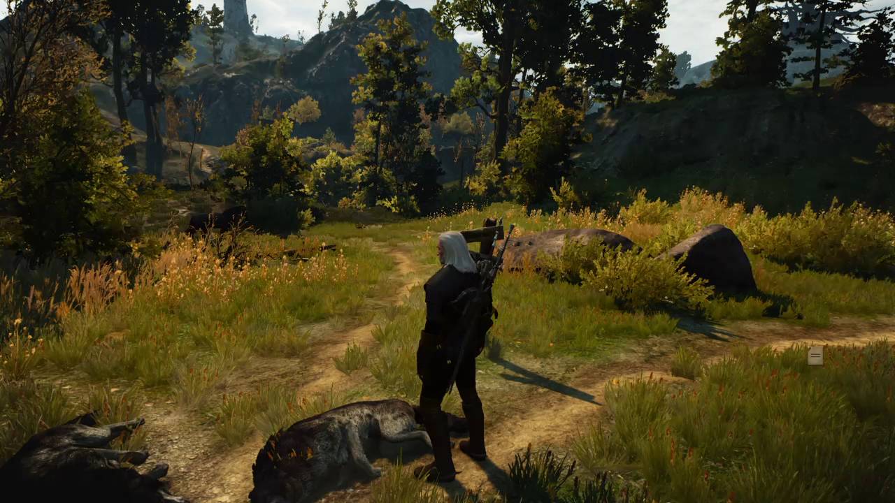 The Witcher 3: Wild Hunt Finding a Cave Troll Liver - YouTube