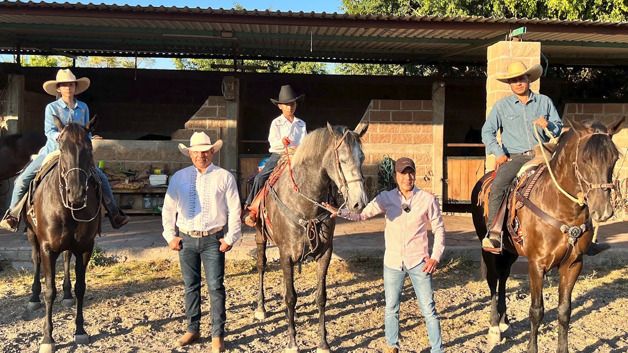 Crianza de CABALLO AZTECA raza MEXICANA | Educación y cuidados hasta ...