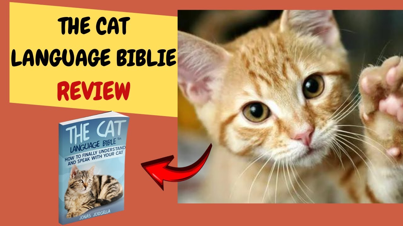 CAT LANGUAGE BIBLE 😻😻 Cat Language Bible Review 😻😻 Jonas Jurgella - YouTube