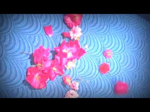 Flower falls|| Relaxing|| #PoomahalArt&Craft