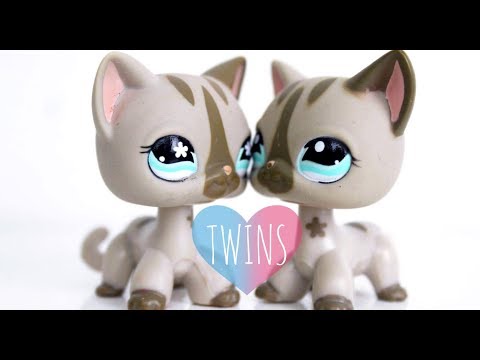 LPS - Twins - Short Series - Part 3 (TEMPORARILY CANCELLED) - YouTube