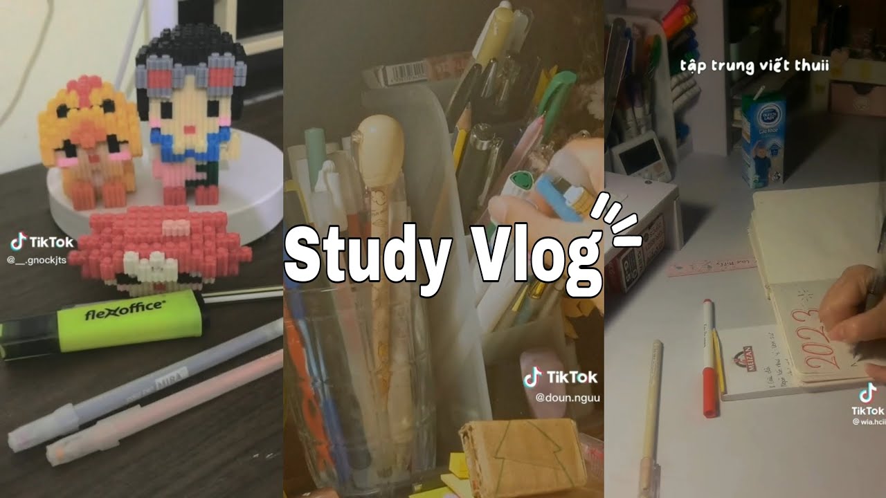 [Tiktok 🌻]#20 Những Vlog Study with me cực chill 🌷🌷 - YouTube