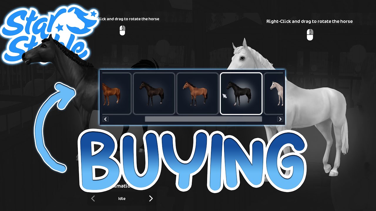Buying Belgian Warmblood in Black and White ⭐ Star Stable - YouTube