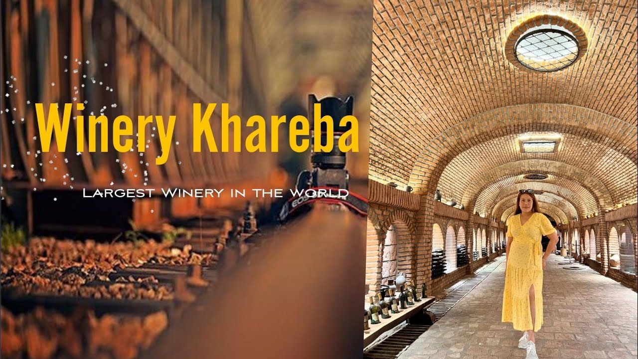 Khareba Winery | Largest Winery | Kvareli Georgia | iamRogj Gee - YouTube