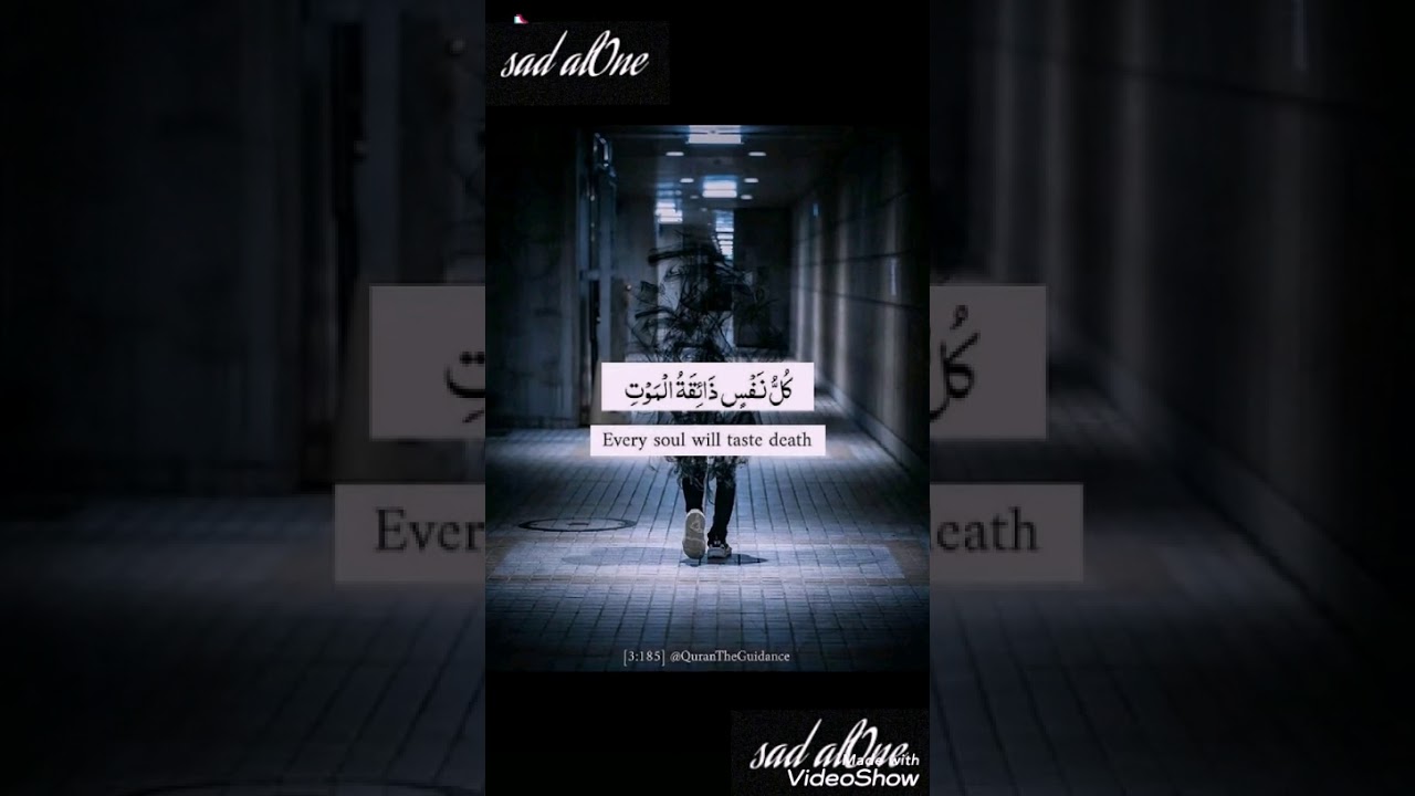 Every Soul Will Taste Death YouTube every-soul-will-taste-death-youtube