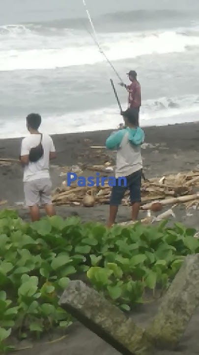 mancing mania pasiran pantai selatan jogja terkini - YouTube