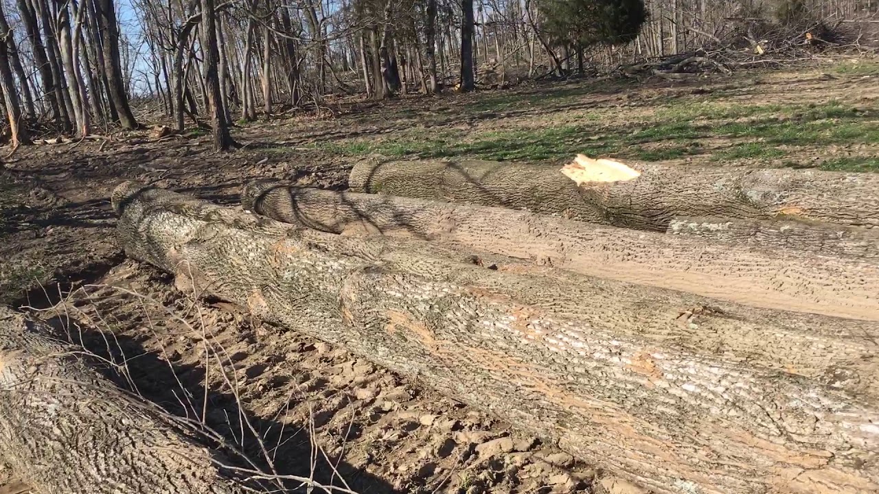 The timber getters - YouTube