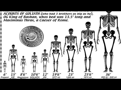 Nations Of Biblical GIANTS History With Bible Study - YouTube