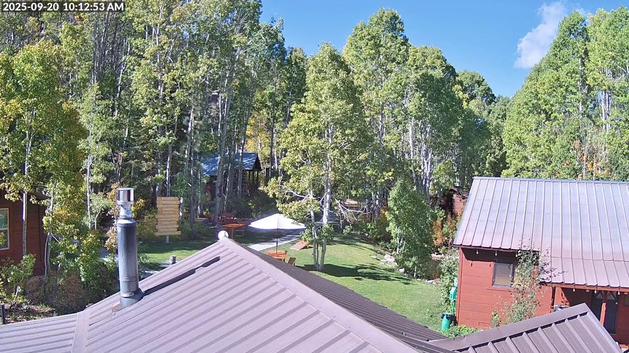 Live Leaf Cam - Desolation Hotel Hope Valley - YouTube
