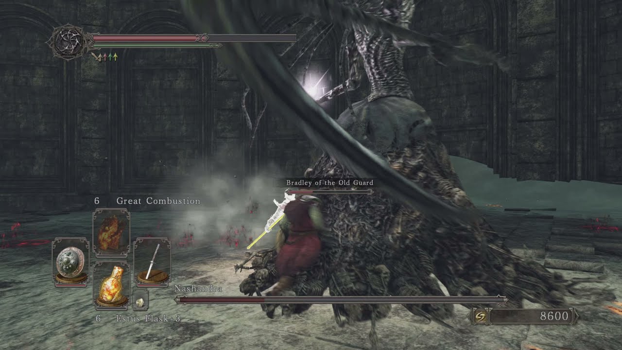 Dark Souls 2 SotFS - Nashandra (Boss) / Bradley, Benhart and player ...