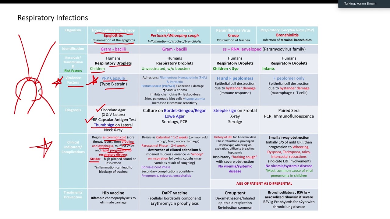Micro for USMLE Step 1 - Lecture 1 - YouTube