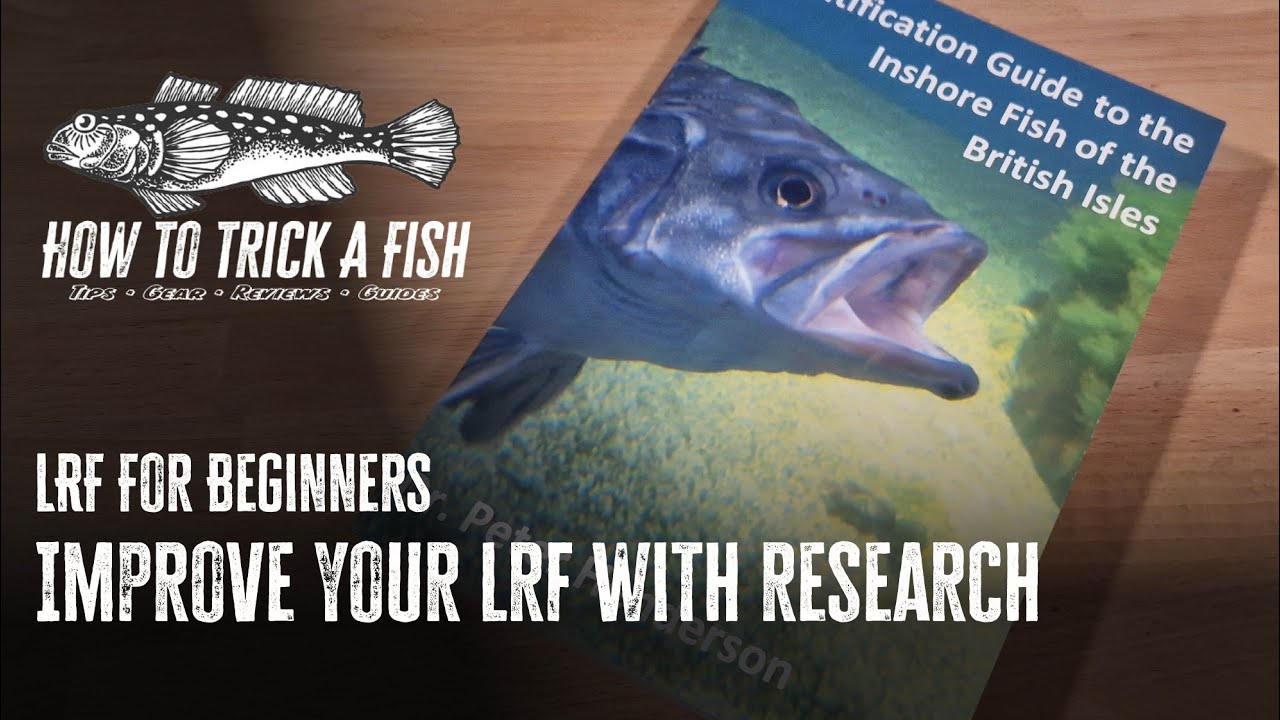 LRF for Beginners - How to learn about Light Rock Fishing #lrfuk - YouTube