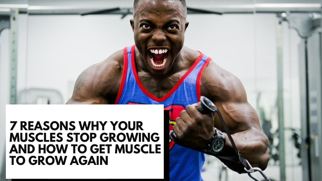 7 Reasons Why Your Muscles Stop Growing And How To Get Muscle To Grow ...