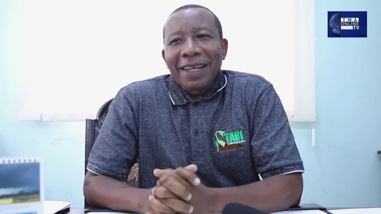 MAENEO GANI YANAFAA KWA KILIMO CHA KOROSHO/ NINI MCHANGO WA TMA. - YouTube