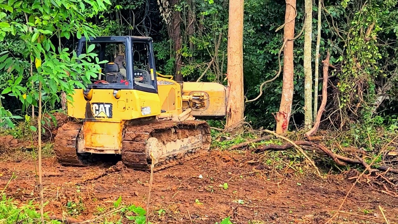 A Cute Tiny Bulldozer Taking Out Big Trees, Bulldozer Caterpillar D5K ...