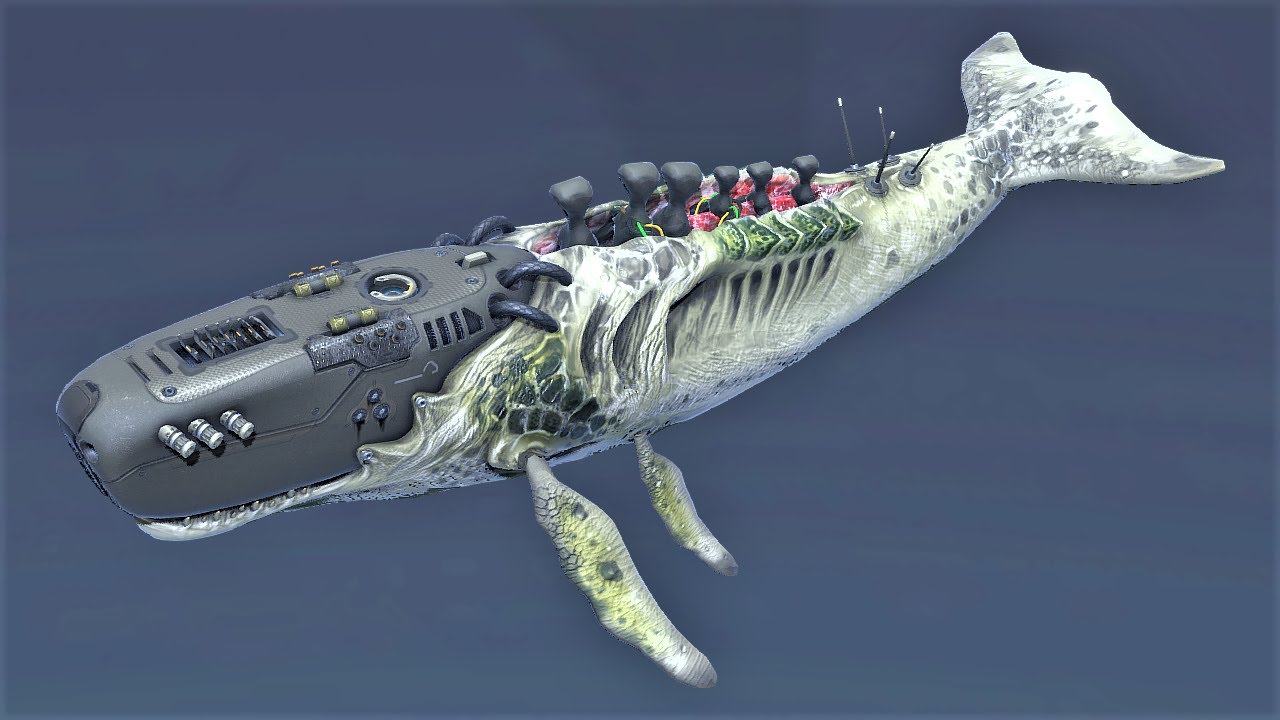 Biomechanical Whale Animated - YouTube