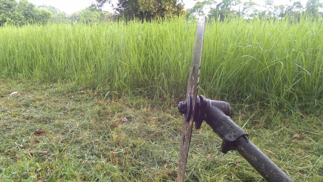 BABAT RUMPUT SEPERTI INI PAKAI PISAU MESIN RUMPUT MEMANG SESUAI BANGET ...