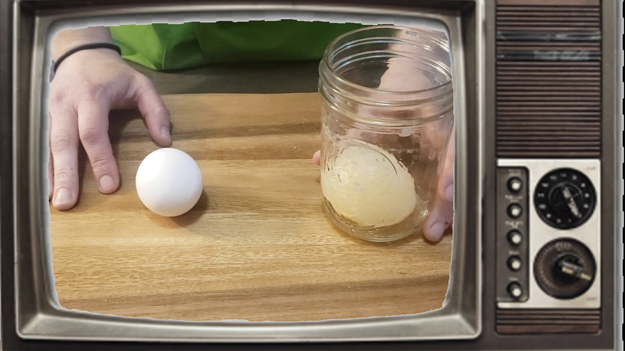 Bouncing Egg Experiment - YouTube