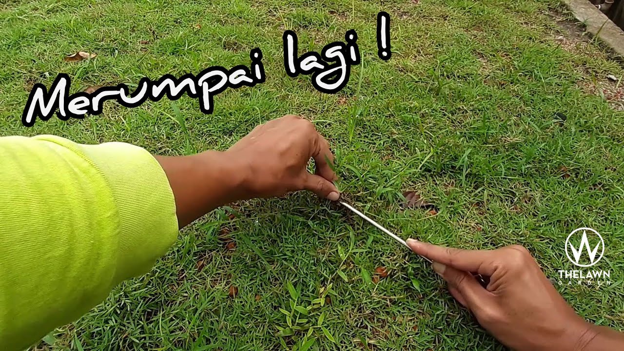 [26] Merumpai lagi! - YouTube