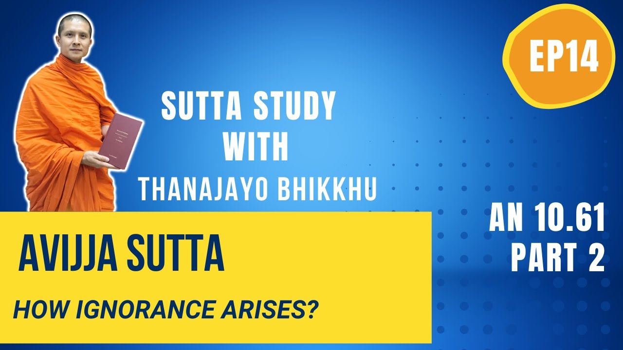 EP14 avijja part2 - YouTube