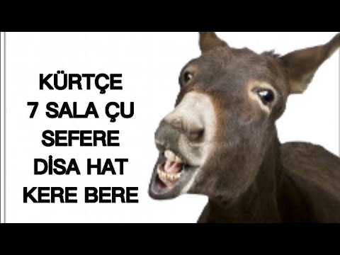 KÜRTÇE ATA SÖZÜ 7 SALA ÇU SEFERE