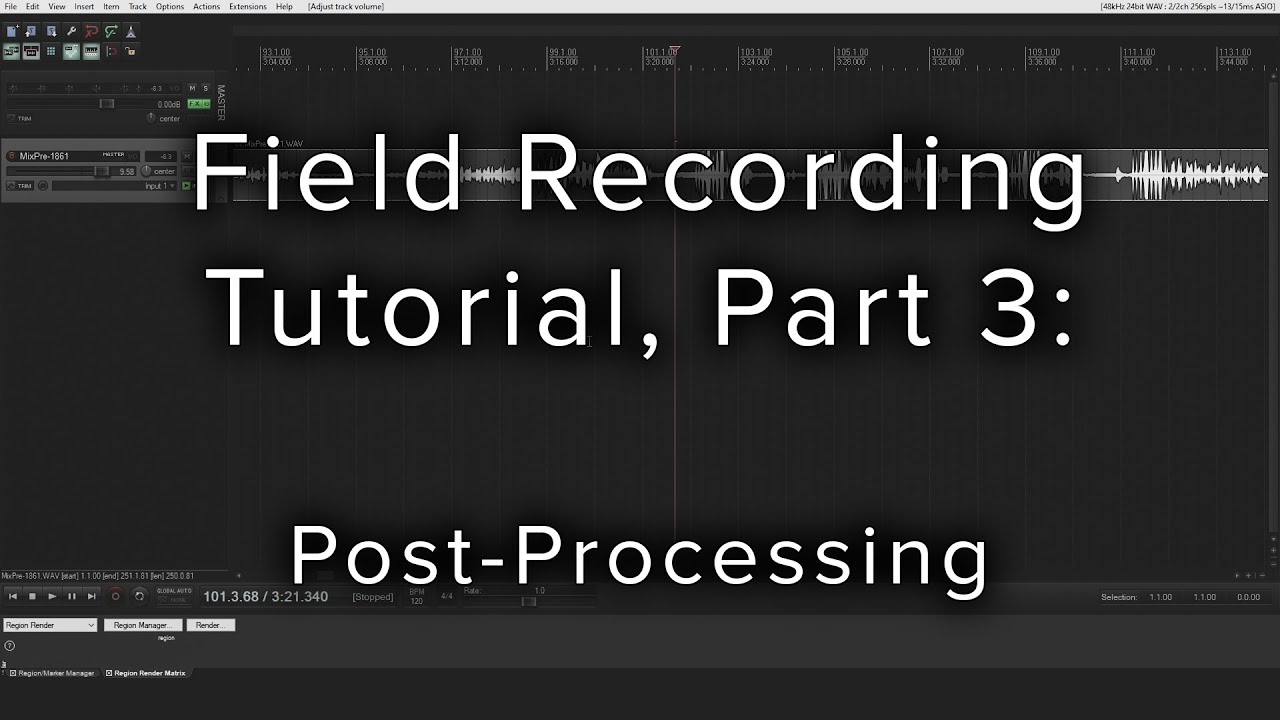 Field Recording Tutorial - Part 3: Post-Processing / Editing - YouTube