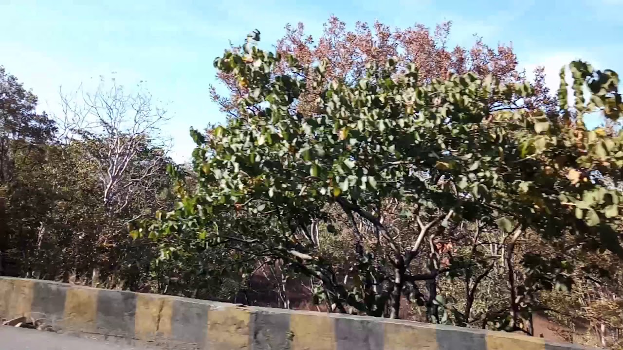 Chilpi ghati kawardha bhoramdev trip..,awesome natural view - YouTube