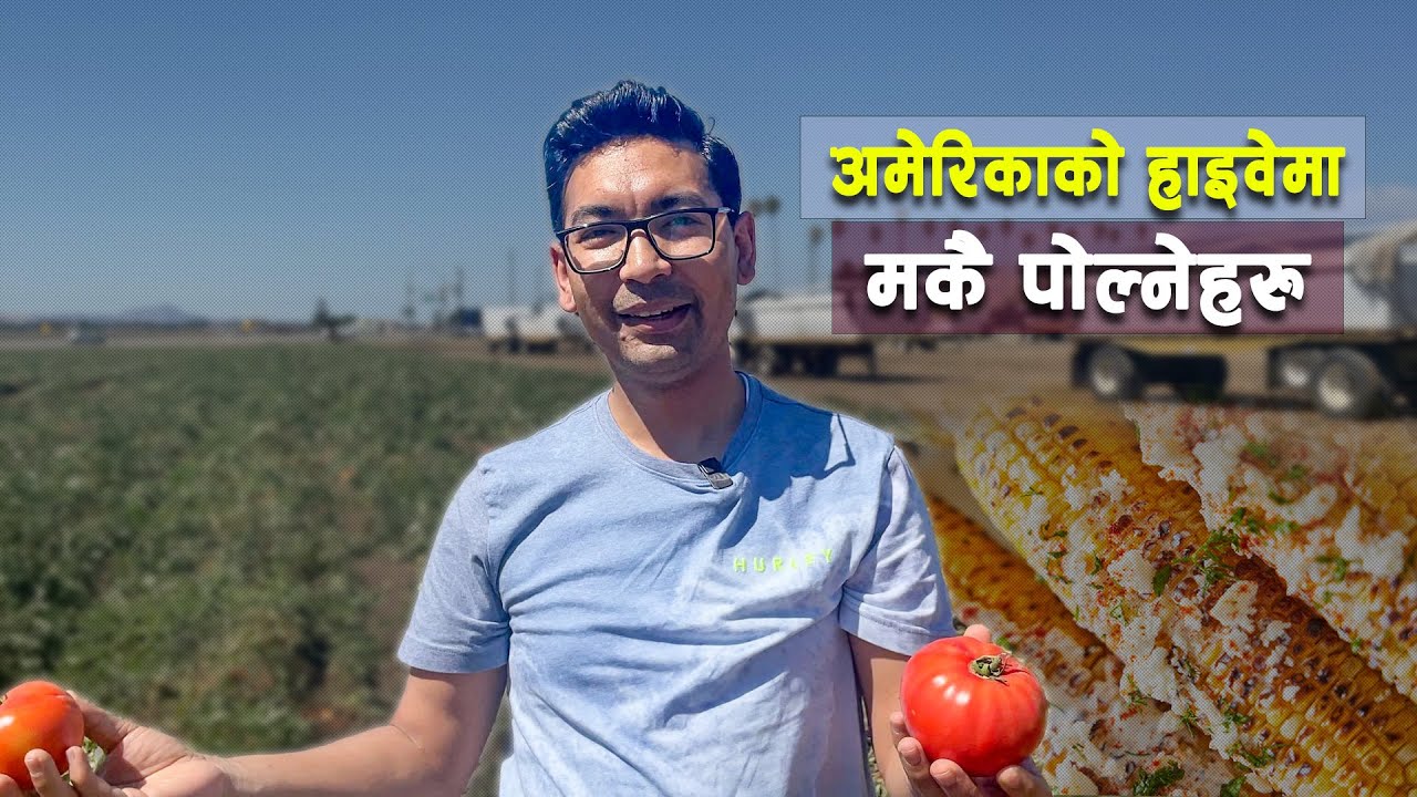अमेरिकाका हाइवेमा मकै पोल्नेहरु Subash Karki - YouTube