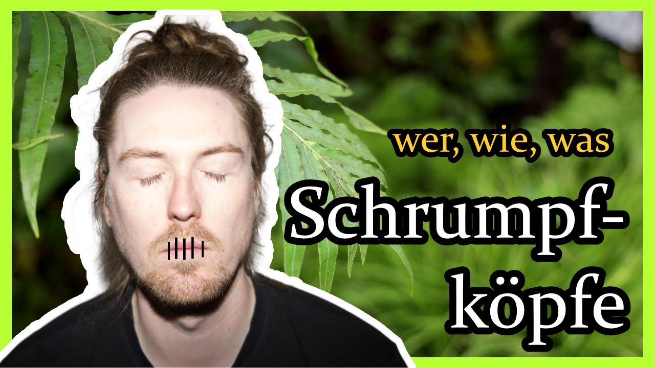 Schrumpfköpfe - wer, wie, was - YouTube