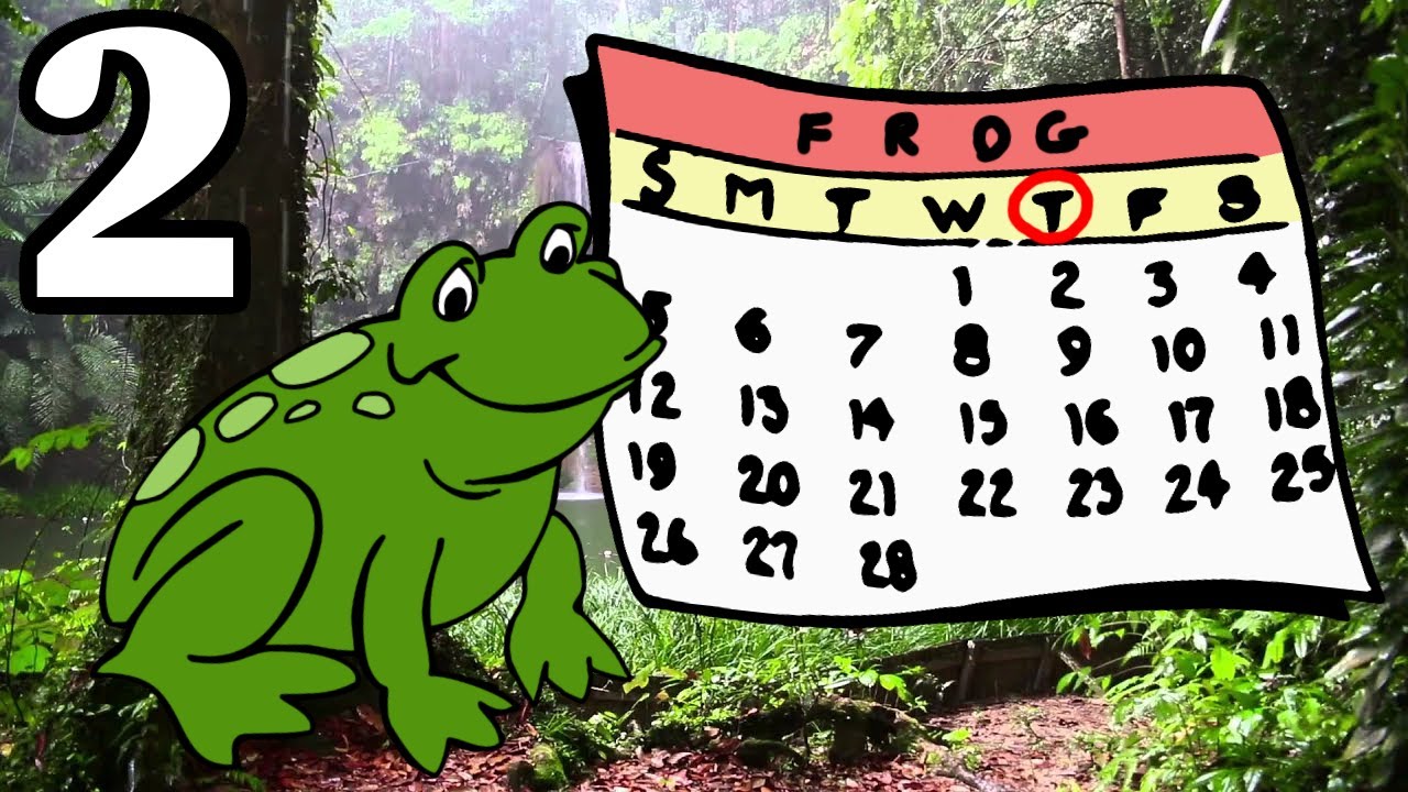 frog of the week 2 - YouTube