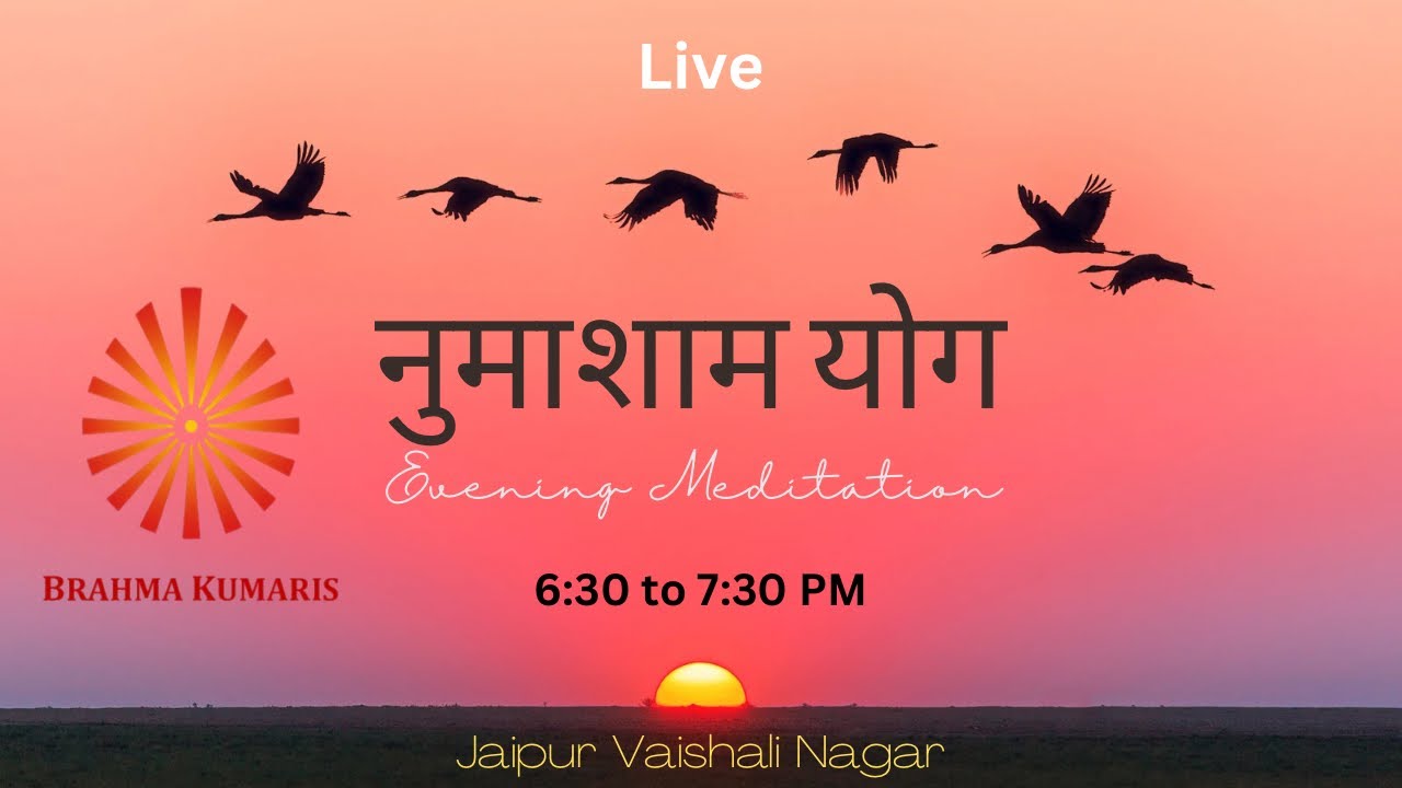 Live: Evening Meditation 01-12-2024 (Daily 6:30 to 7:30 PM) Jaipur ...