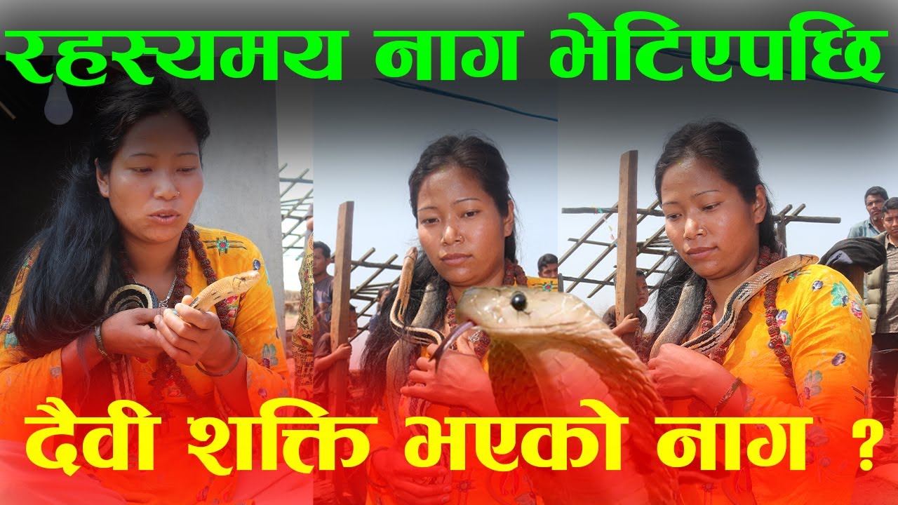 नाग भेटिएपछि हेर्नेको भीड... के हो त यथार्थ ? दैवी शक्ति भएकोे नाग ...