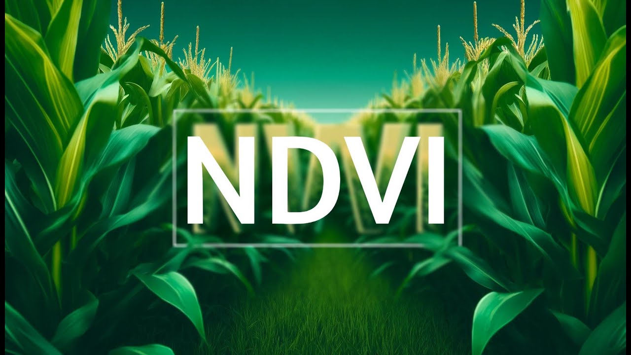 NDVI analiz nedir? Uydu İle NDVI analizi nasıl yapılır? - Agrovech - YouTube