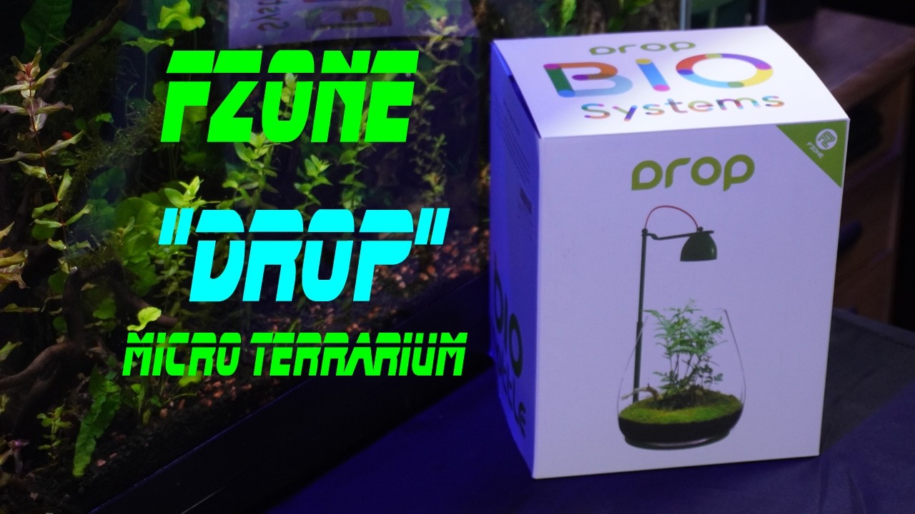 FZone Drop - Mini Terrarium kit - Unboxing & Setup & Review - YouTube