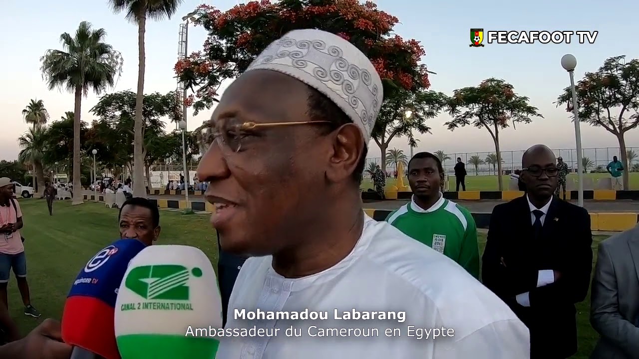 Mohamadou Labarang: "La mobilisation des camerounais résidant en Égypte ...