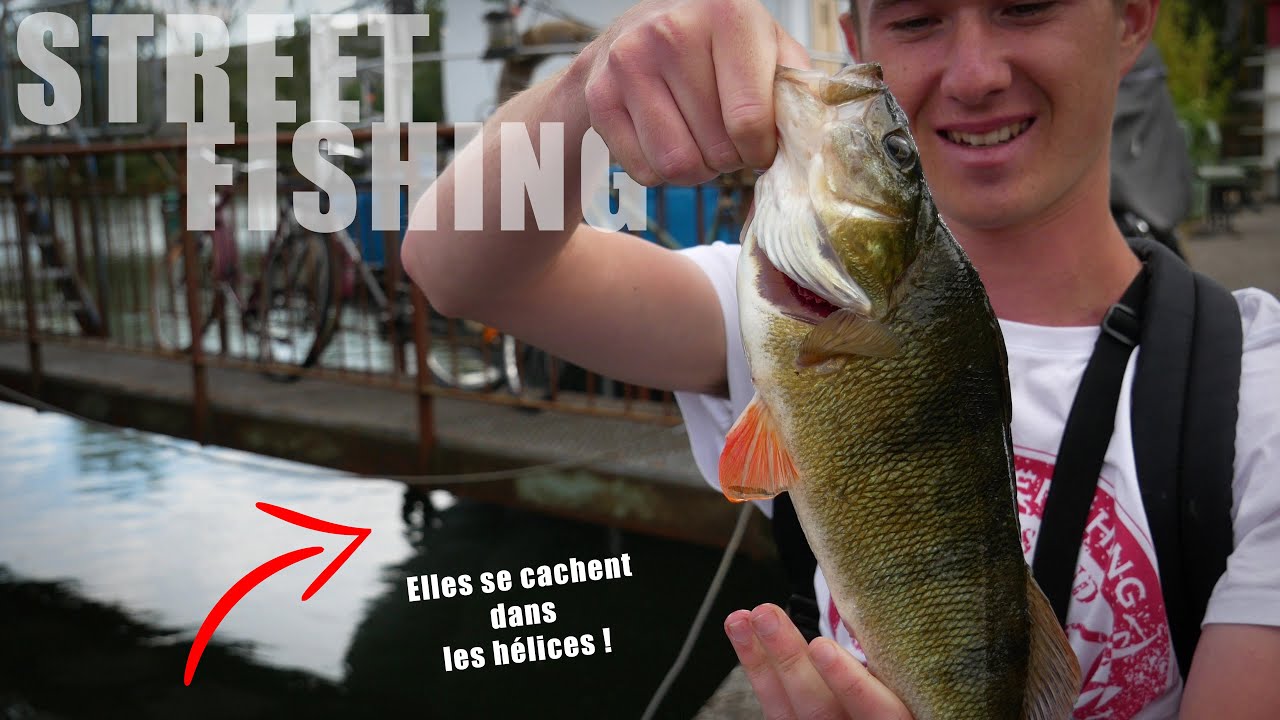 Il fallait aller les chercher bien en dessous ! | Street Fishing - YouTube