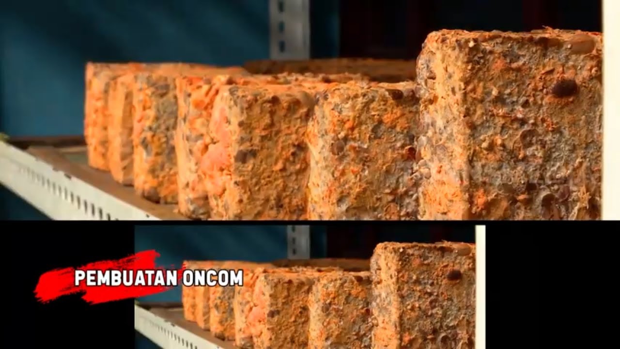 Kepoin Proses Pembuatan ONCOM | RAGAM INDONESIA (08/12/21) - YouTube