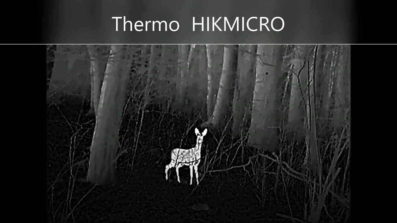 Termovízie v poľovníckej praxi vlog_04 #hunting #hikmicro #thermovision ...