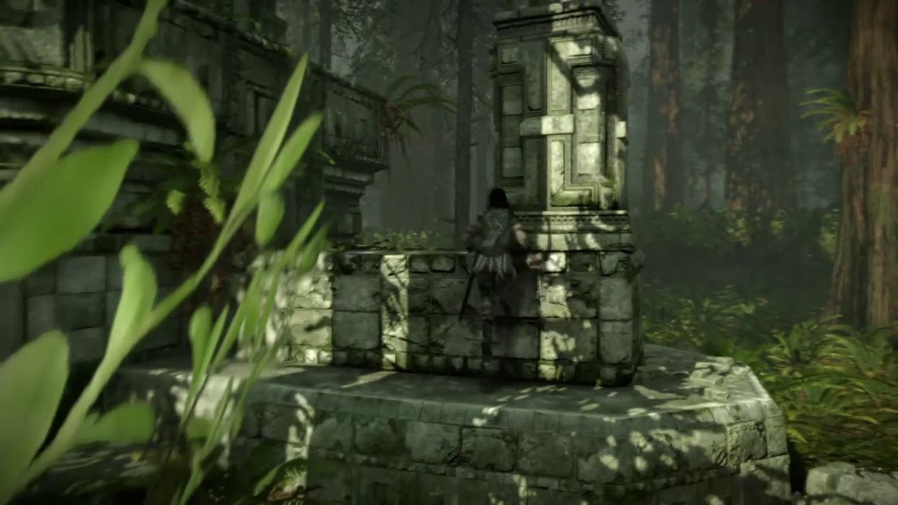 SHADOW OF THE COLOSSUS PS4 How to Kill and Collect Lizards - YouTube