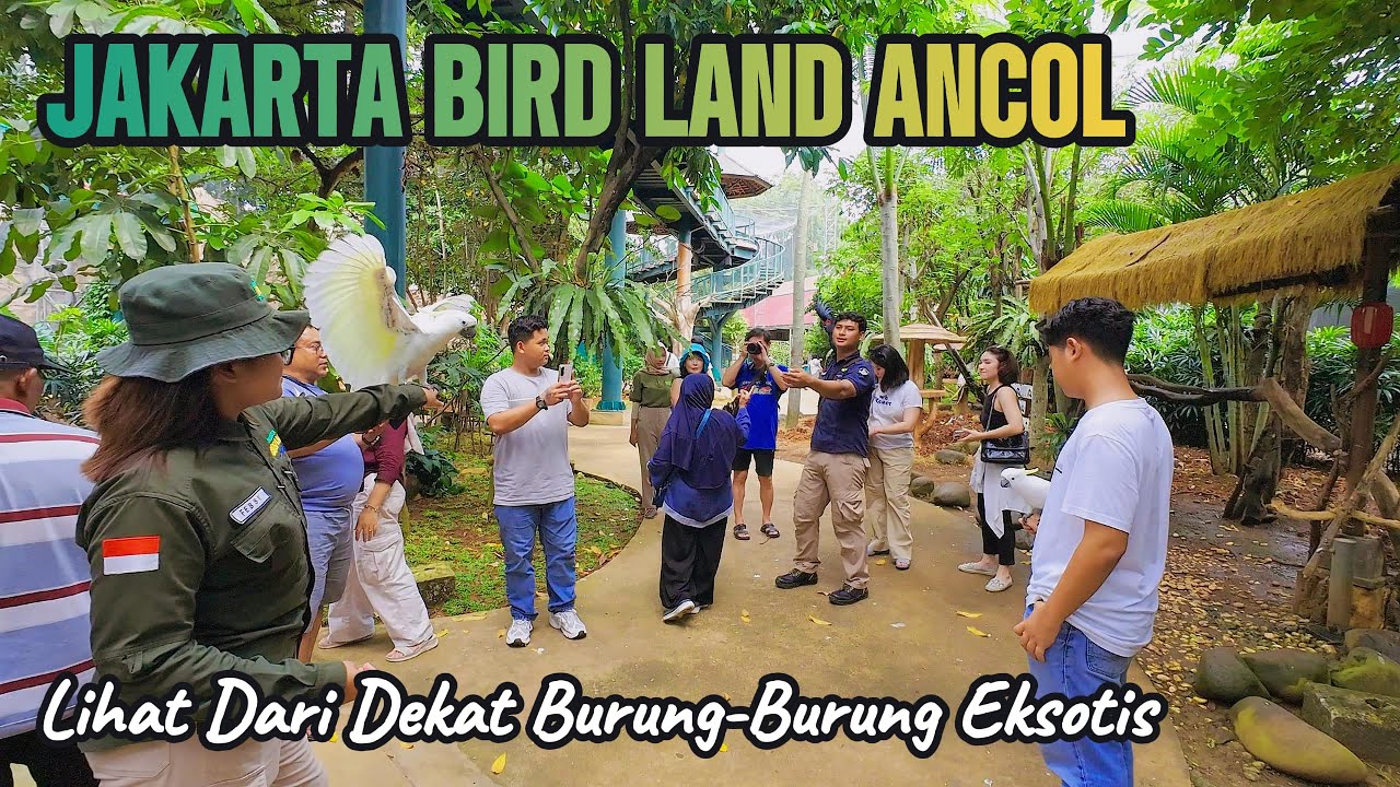 EXPLORING JAKARTA BIRD LAND ANCOL JAKARTA | MELIHAT DARI DEKAT BURUNG ...
