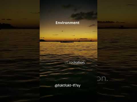 Subscribe and LIKE #priol #shortvideo #shorts